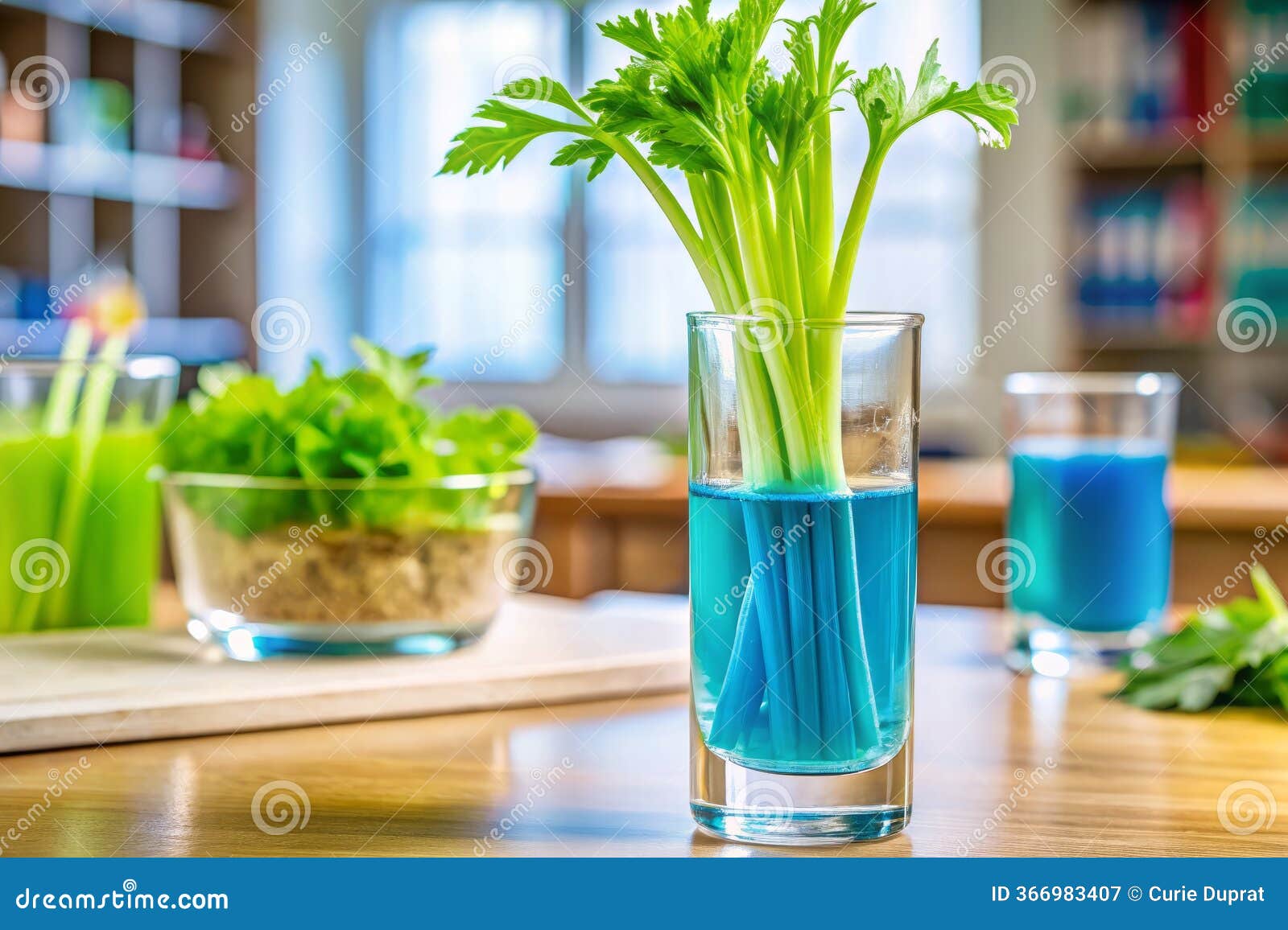 Understanding The Transpiration Cycle In Plants Royalty-Free Stock Image | CartoonDealer.com ...