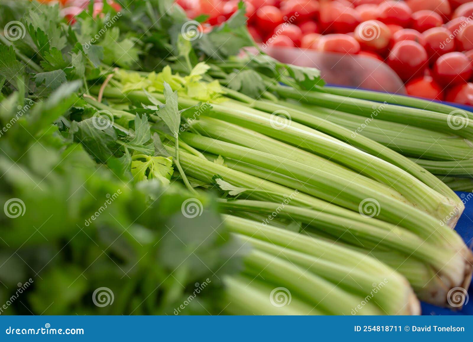 Celery at farmers market stock image. Image of recipe - 254818711