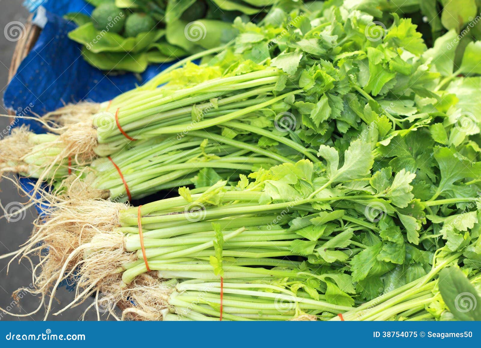 Celery Fresh in the Market. Stock Image - Image of tasty, diet: 38754075