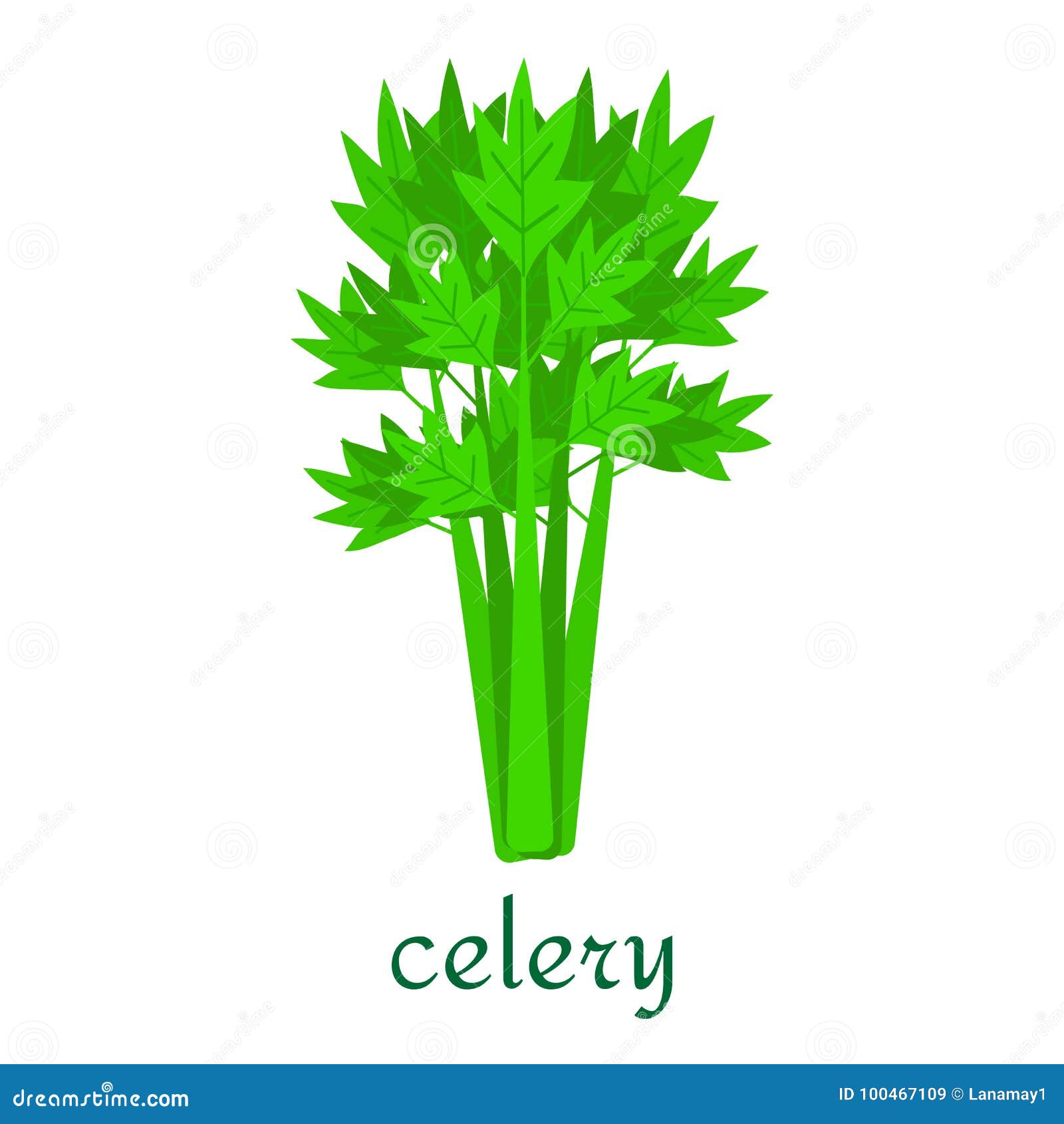 Celery Icon in Flat Style Isolated on White Background. Stock Vector ... Celery Icon in Flat Style Isolated on White Background. Stock Vector ...