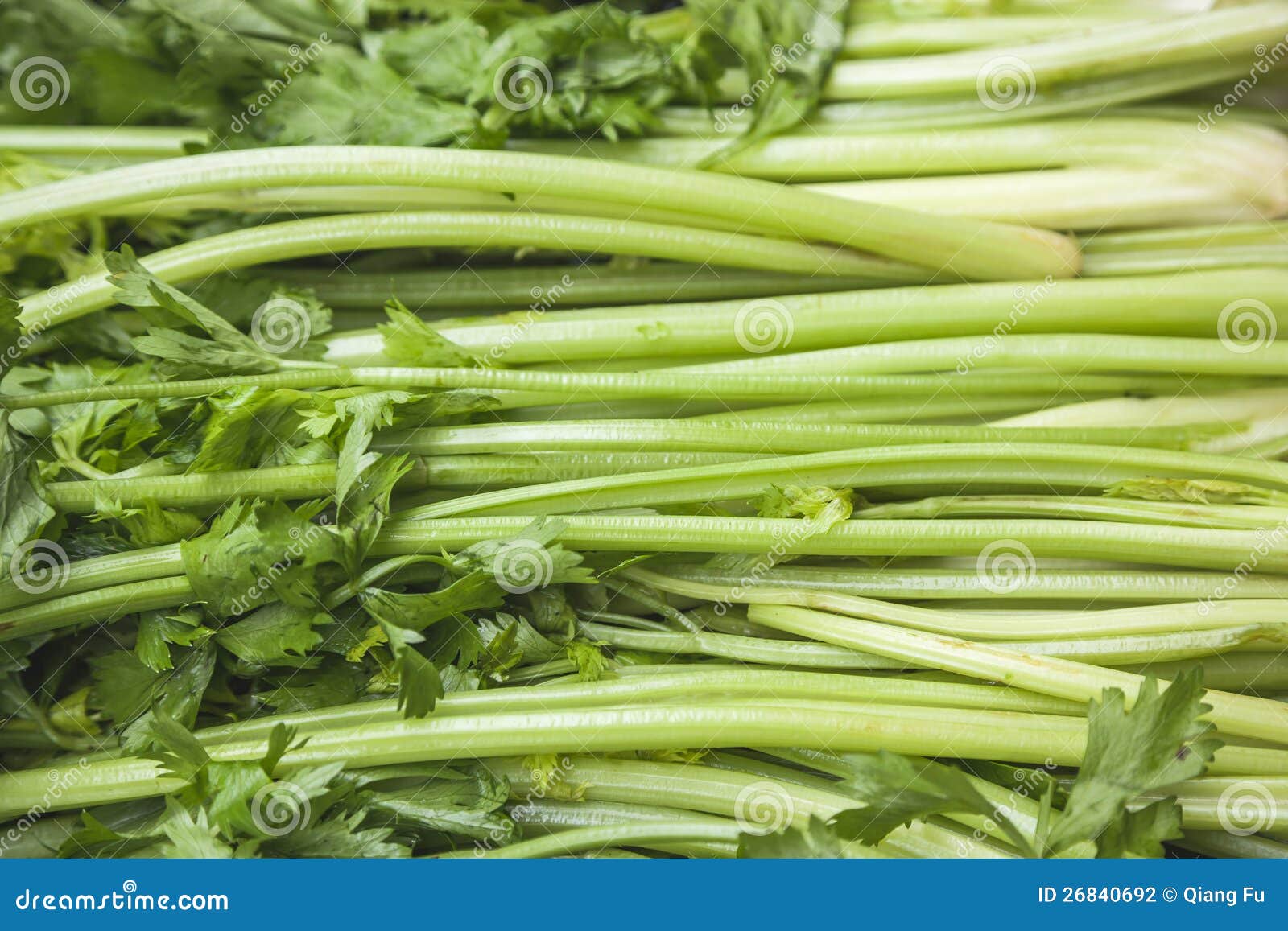 Celery in the market stock photo. Image of health, crop - 26840692