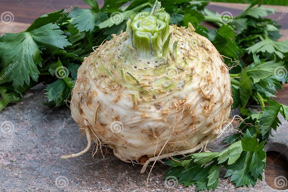 Celery Root - Celeriac, Source of Vitamins, Fresh Healthy Vegetable ...