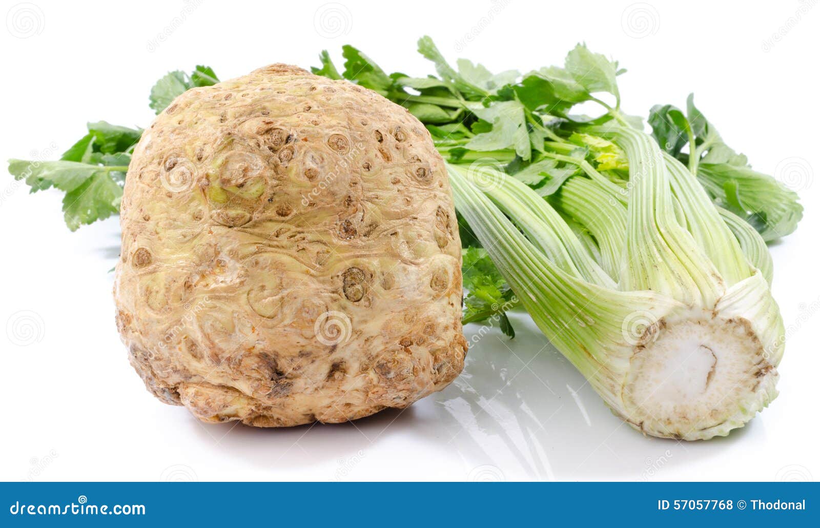 Celery Root and Green Celery Stock Photo - Image of vegetarian, leaf ...