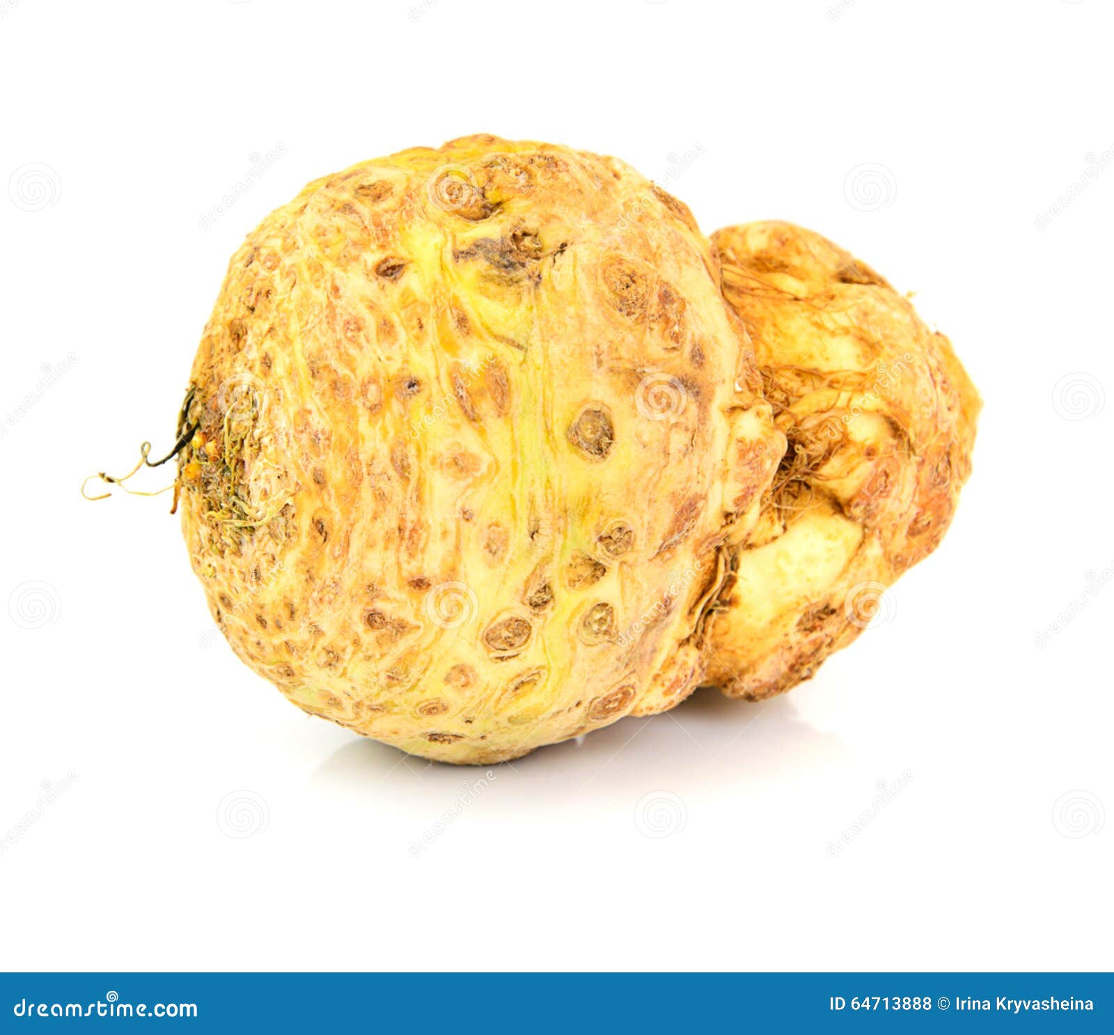 Celery Root Isolated on White Background Stock Photo - Image of fruits ...