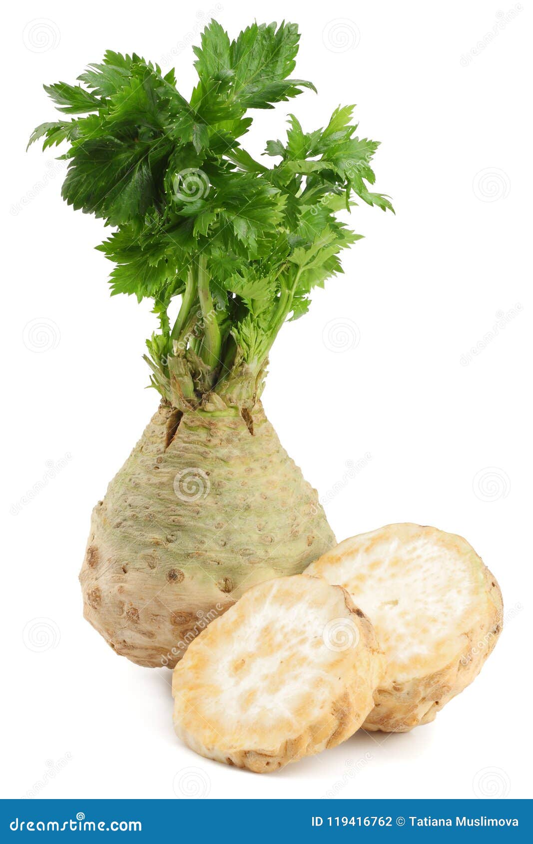 Celery Root with Leaf Isolated on White Background. Celery Isolated on ...