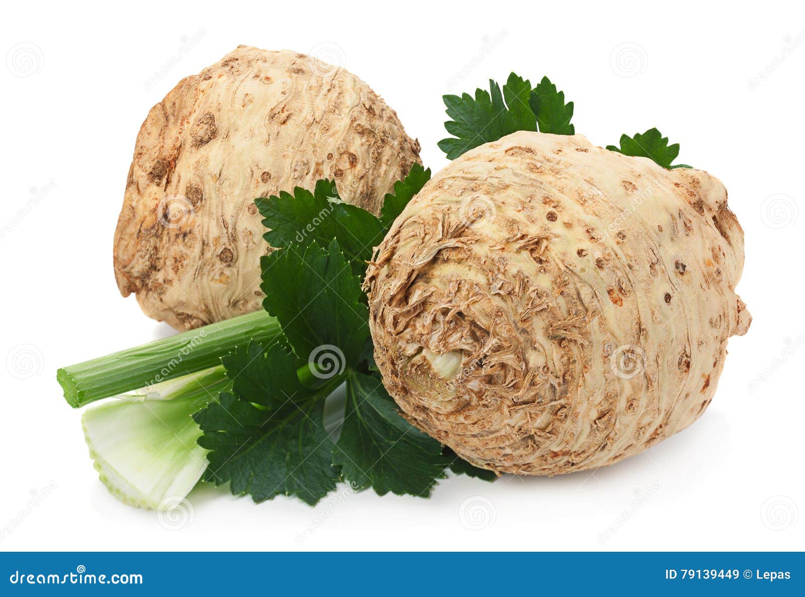 Celery root on white stock image. Image of ingredient - 79139449