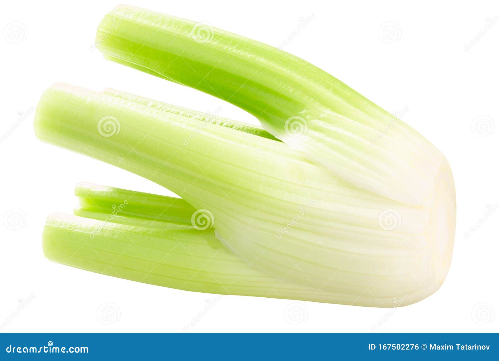 Celery Stem Bundle a. Graveolens, Paths Stock Photo - Image of plant ...