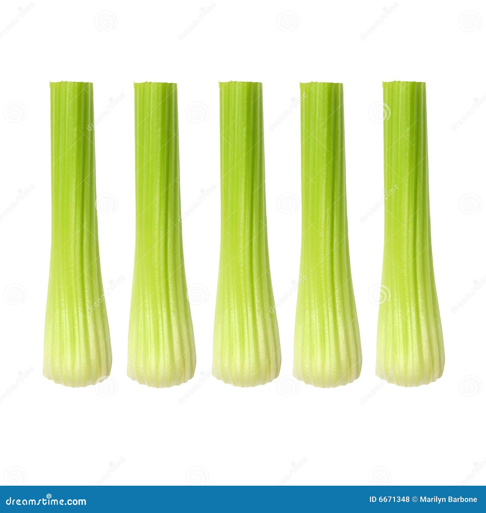 Celery Sticks stock photo. Image of nutrition, ingredients - 6671348