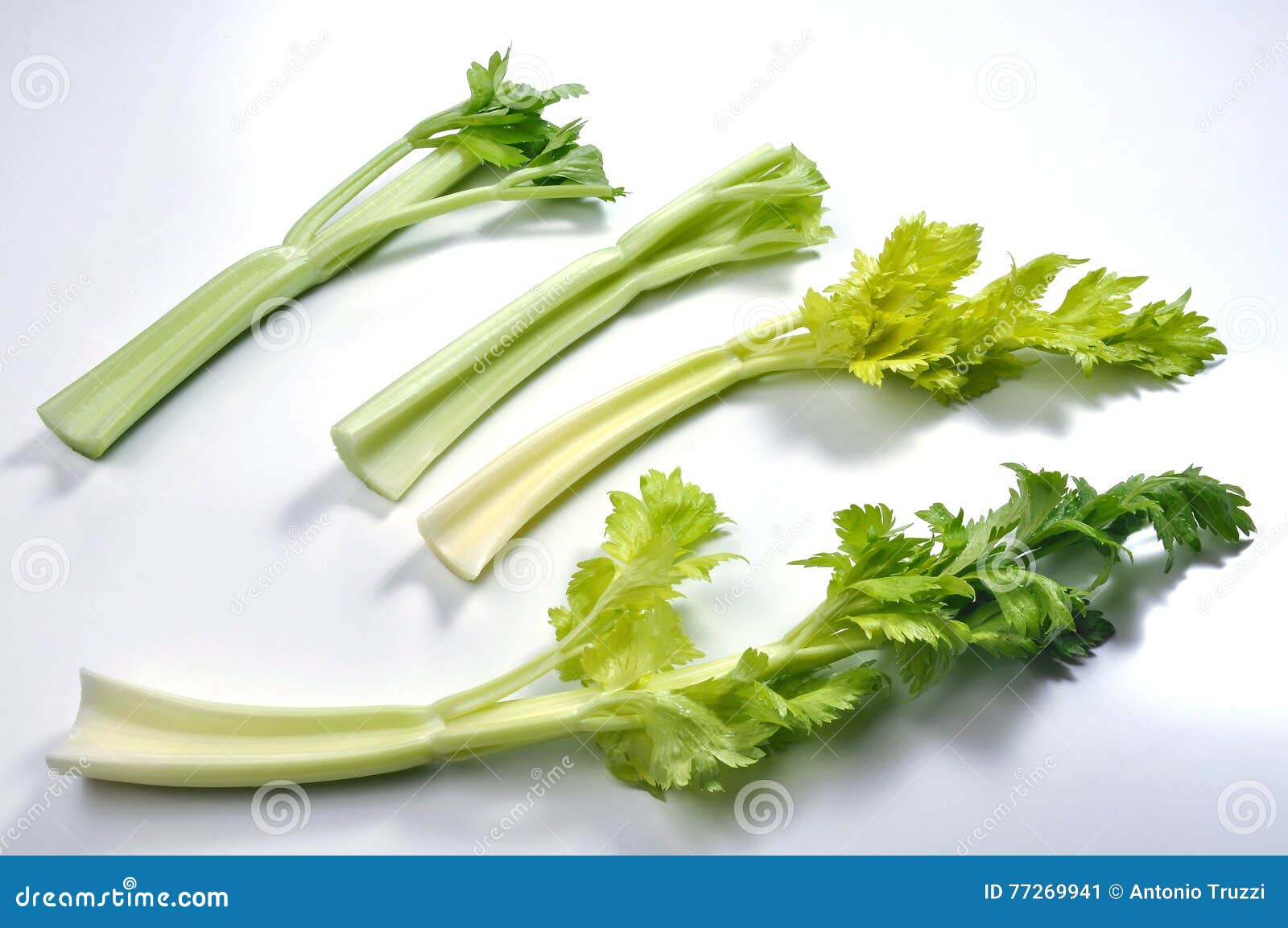 Celery sticks stock image. Image of nutrition, ingredient - 77269941