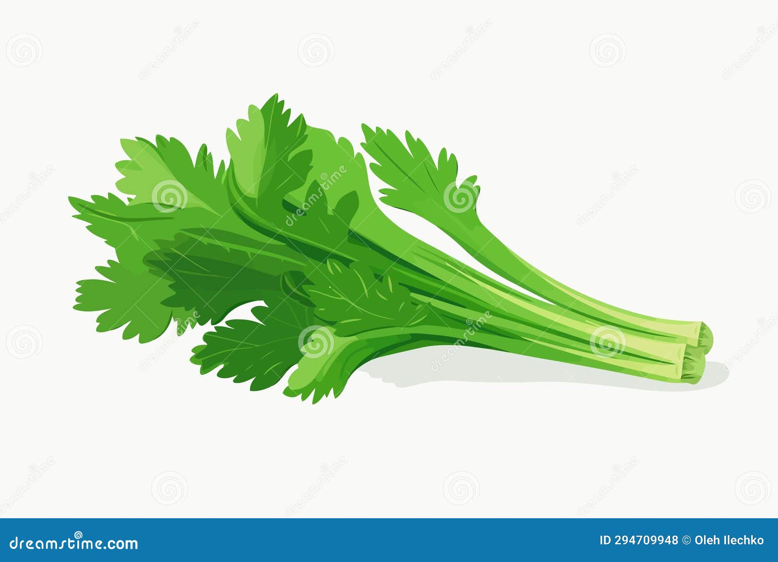 Celery Vector Drawing Icon. | CartoonDealer.com #183578113