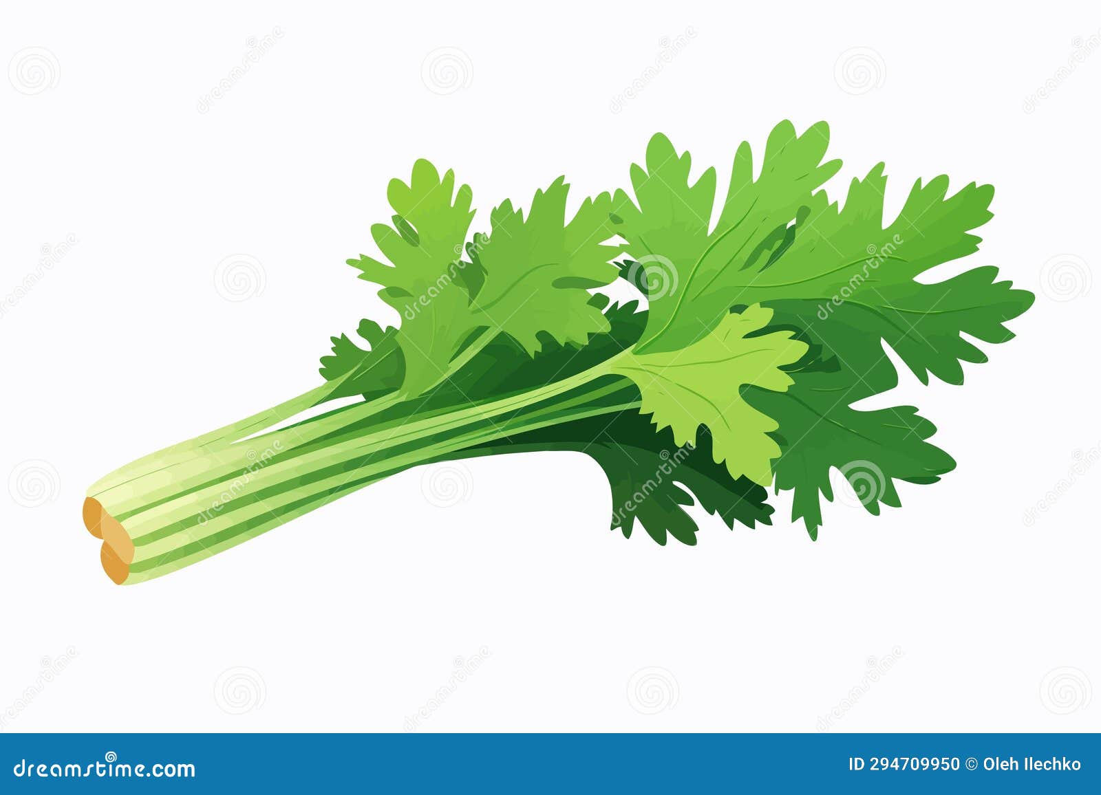 Celery Vector Drawing Icon. | CartoonDealer.com #183578113