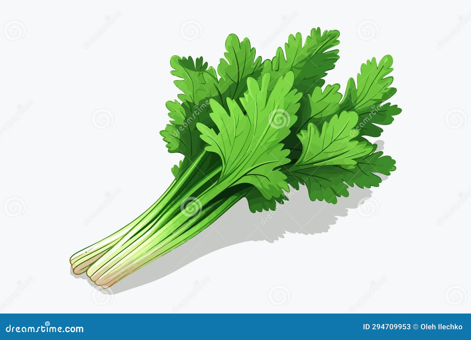 Celery Vector Flat Minimalistic Asset Isolated Vector Style ...