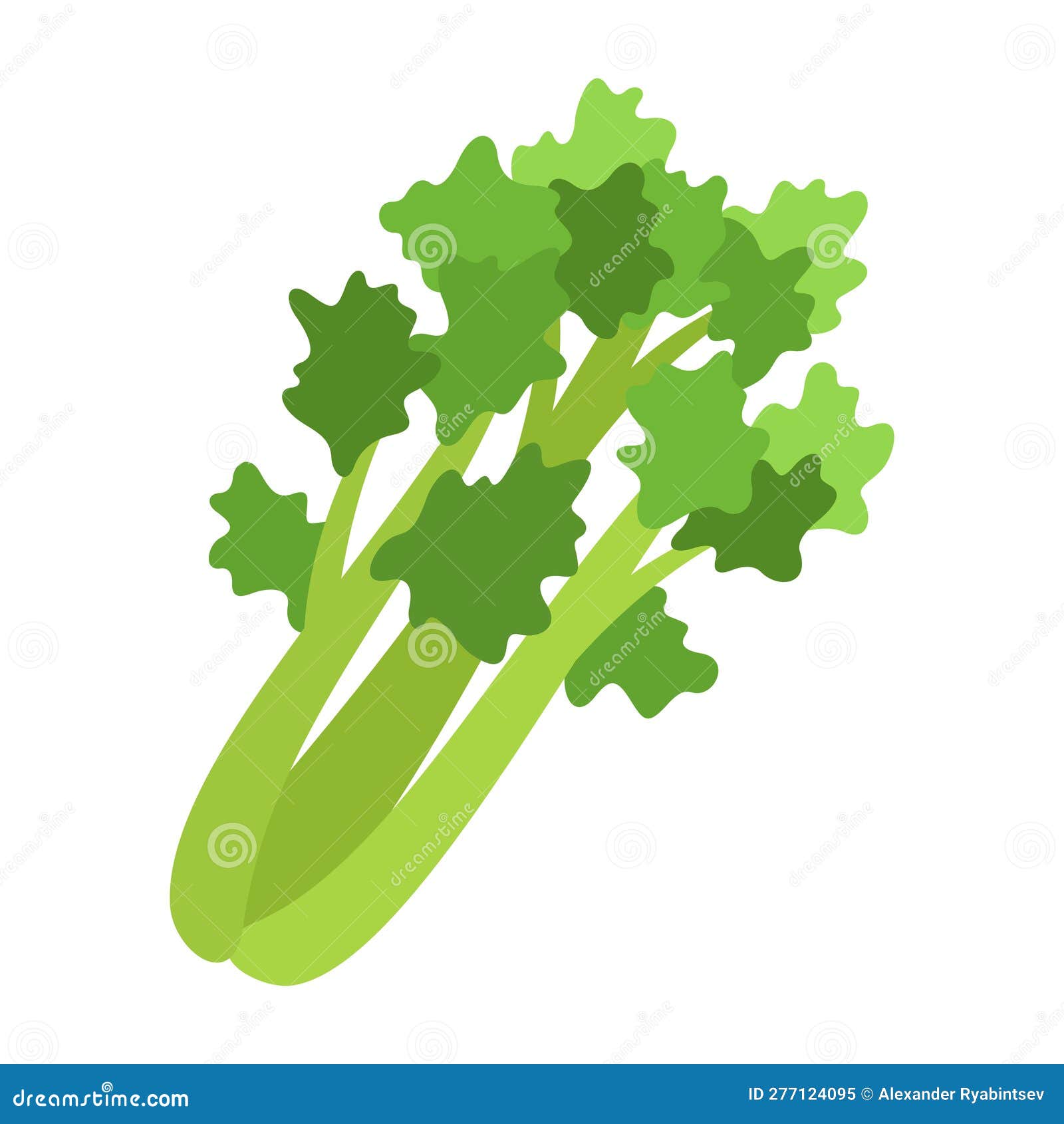 Celery Vector Illustration. Vegetable on White Background. Stock Vector ...