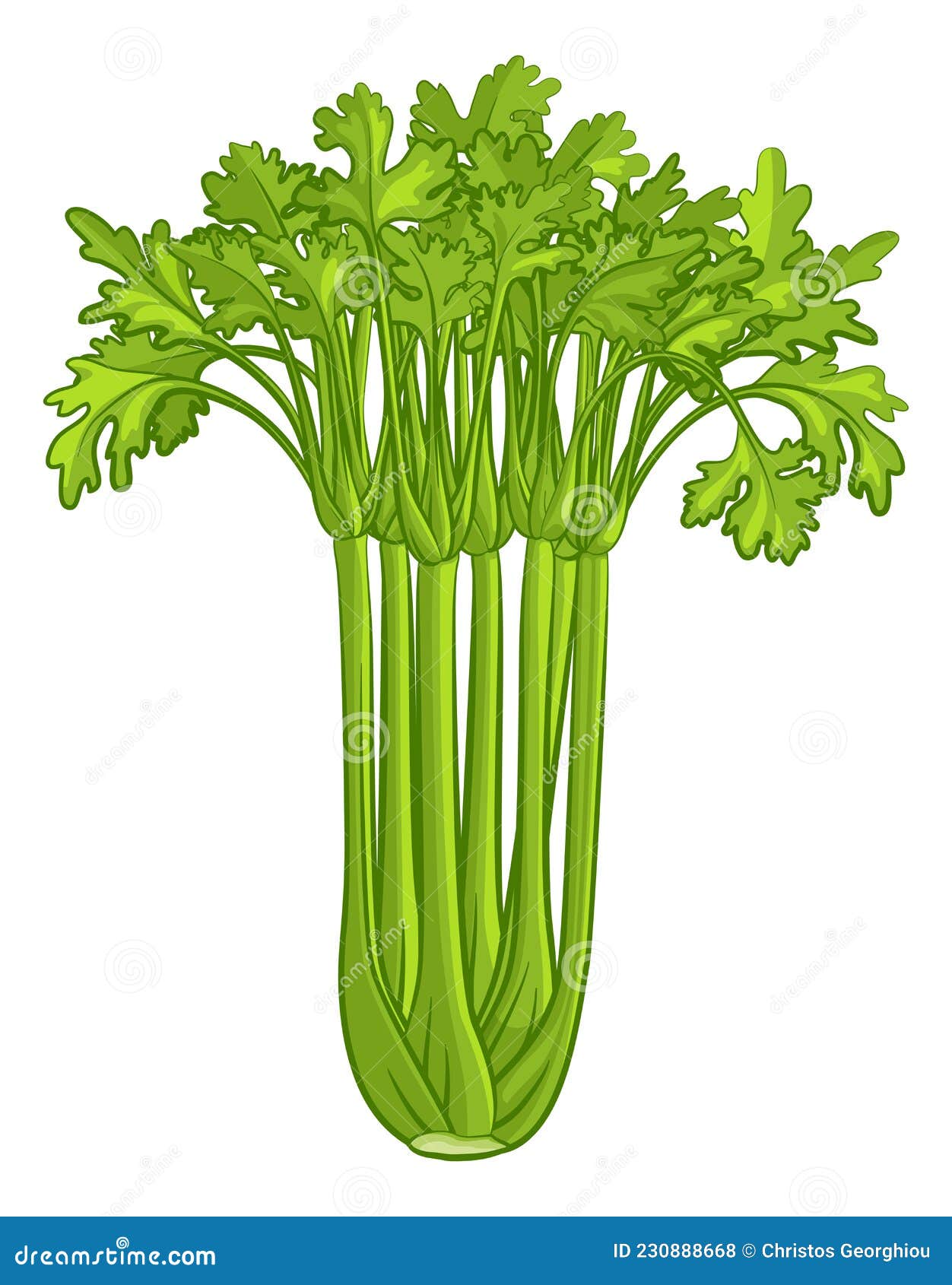 Celery Vegetable Cartoon Illustration | CartoonDealer.com #30217333