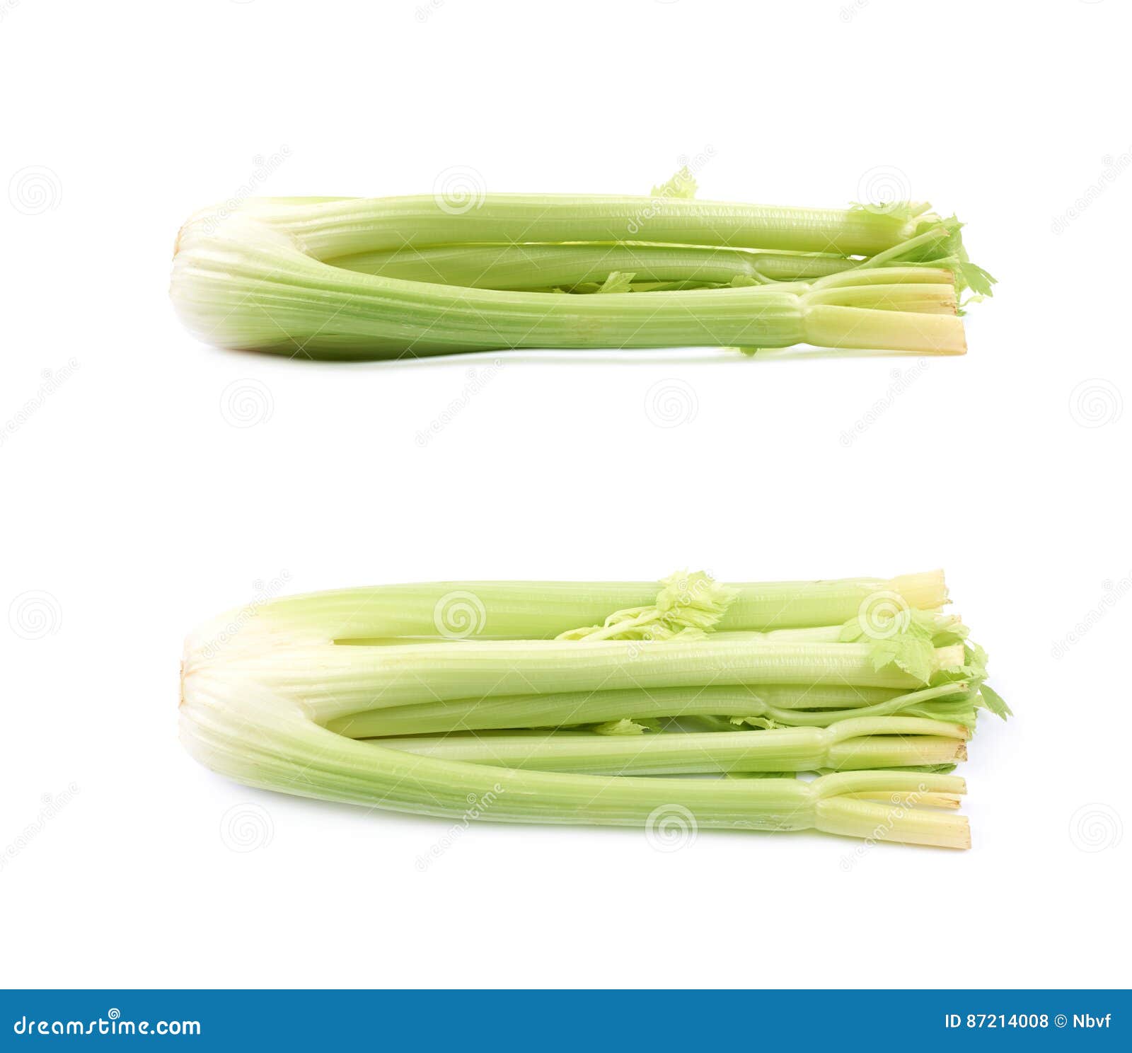 Celery vegetable isolated stock photo. Image of closeup - 87214008