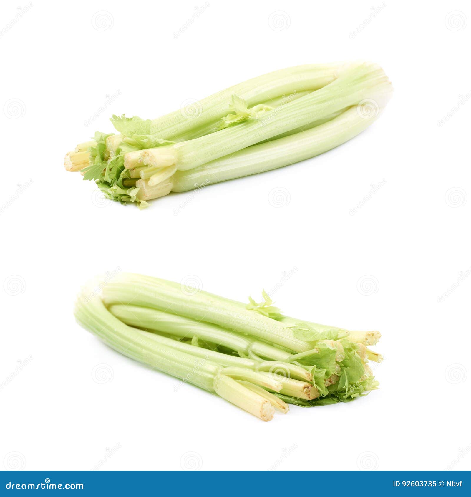 Celery vegetable isolated stock image. Image of cooking - 92603735
