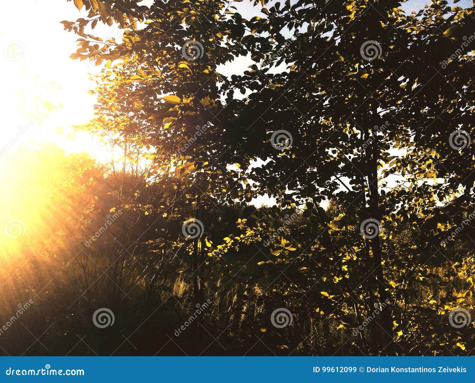 Celestial Light stock image. Image of beautiful, nature - 99612099