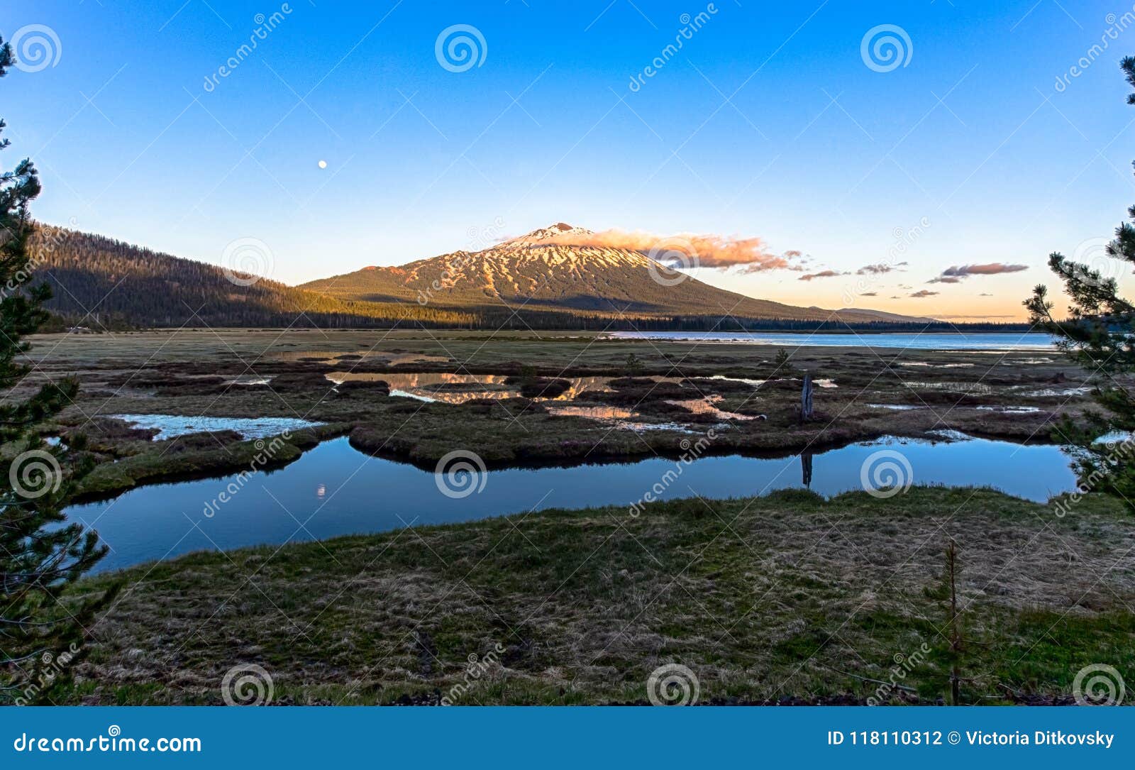 Celibe Del Supporto in Oreogn Fotografia Stock - Immagine di cascata ...