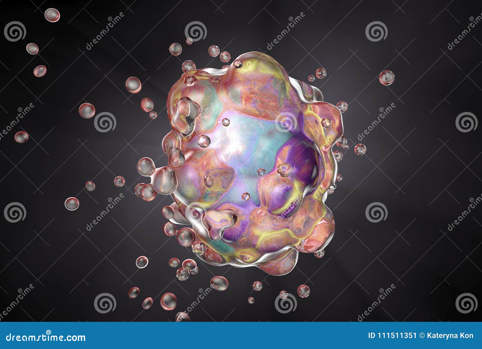 Apoptosis Process Stages As Programmed Cell Death In Labeled Outline ... Apoptosis Process Stages As Programmed Cell Death In Labeled Outline ...