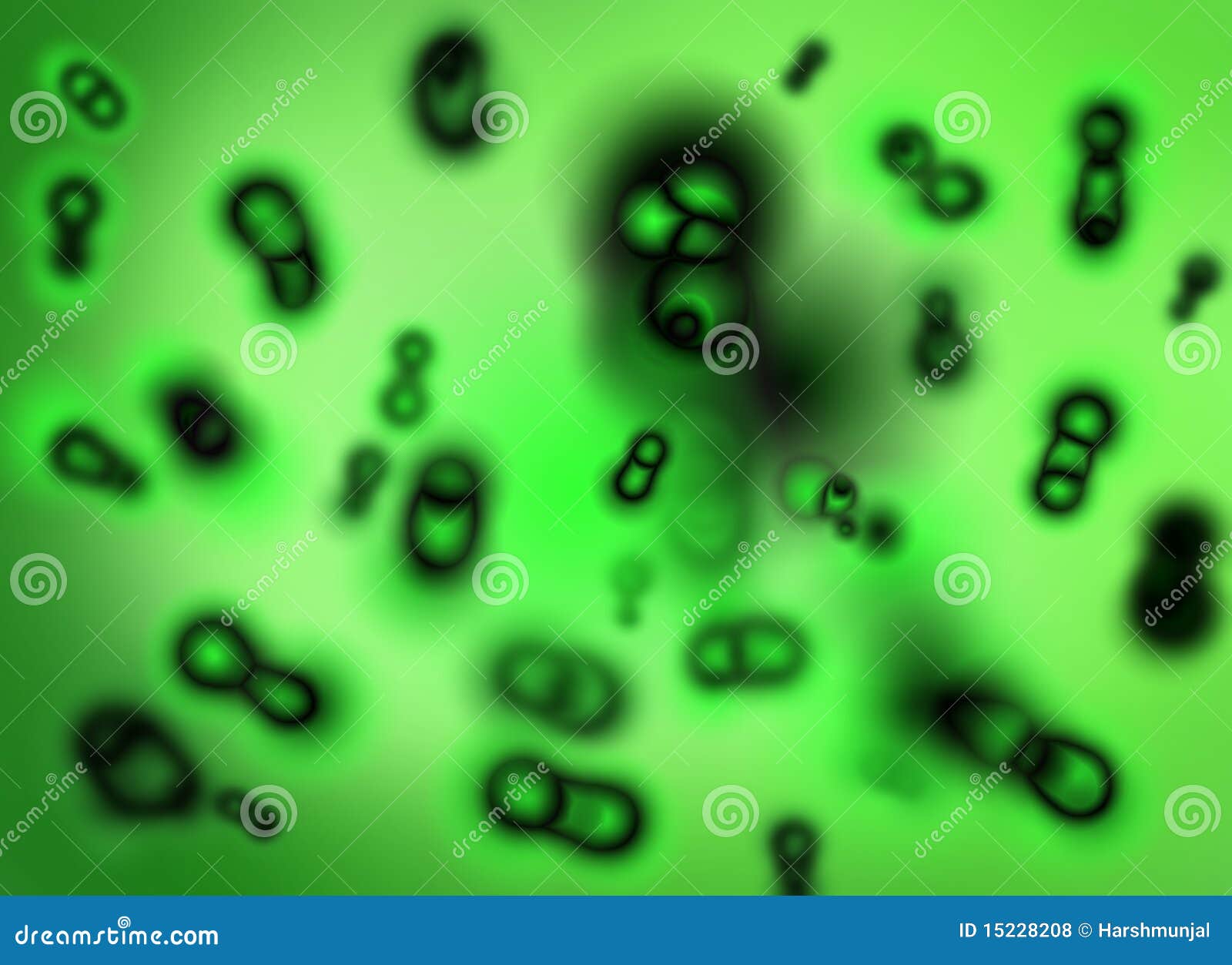 Cell/Bacteria Culture Showing Multiplication Stock Illustration ...
