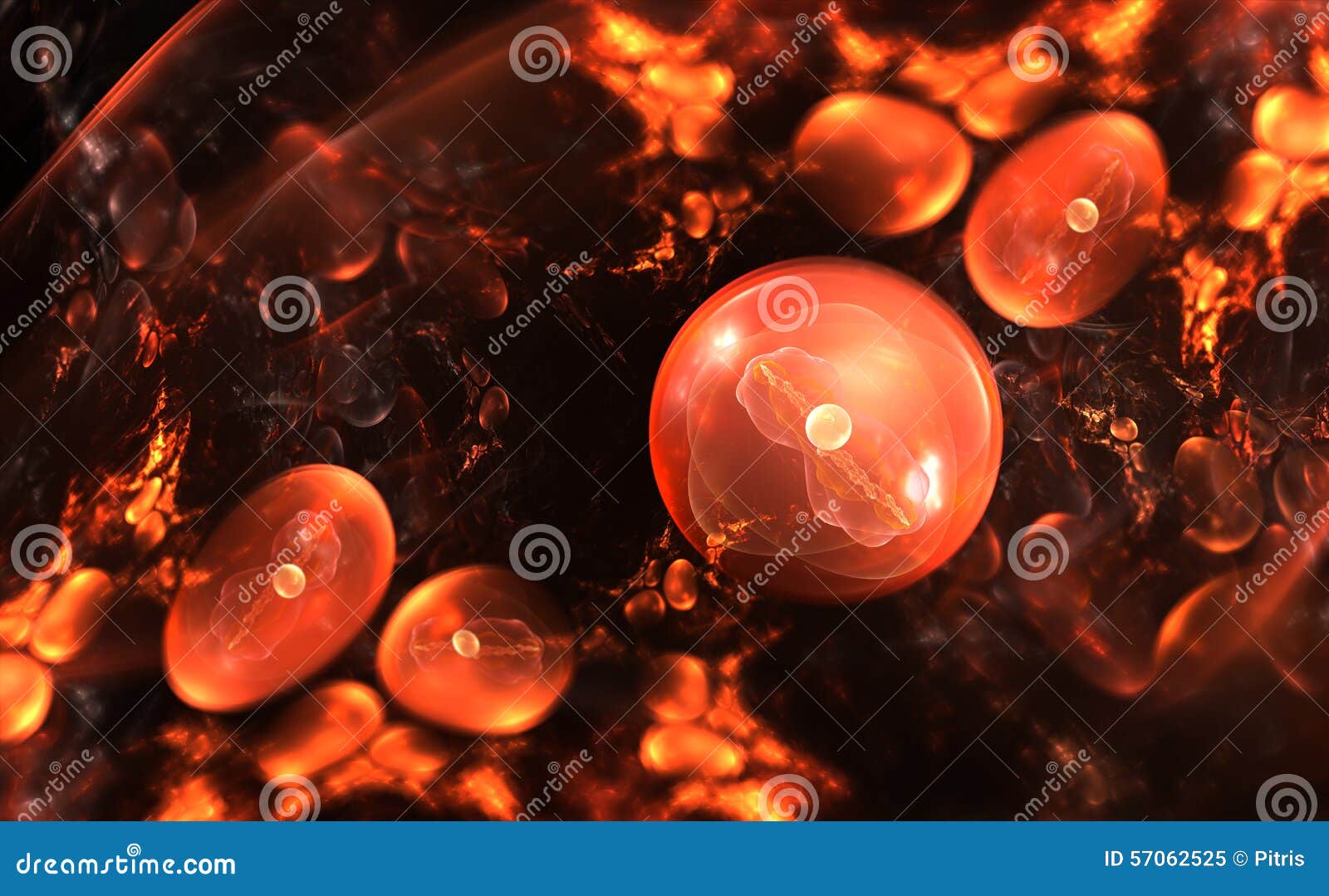 Cell/Bacteria Culture Showing Multiplication Royalty-Free Stock Image ...