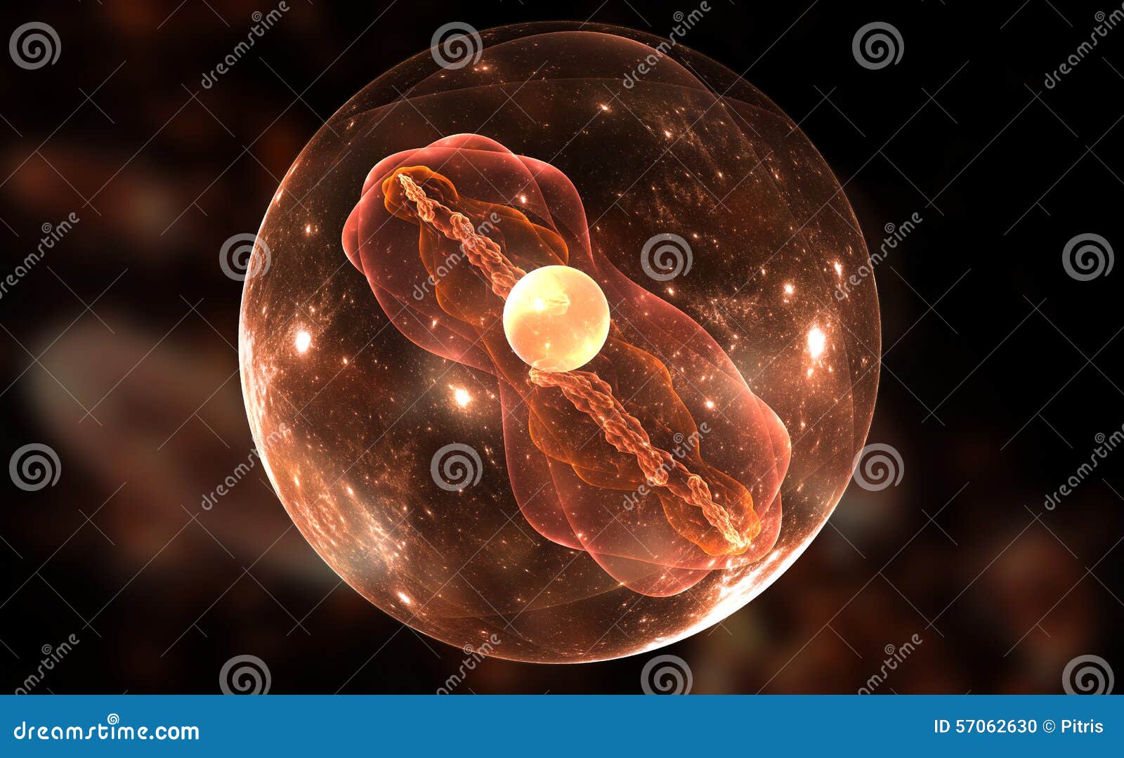 Cell/Bacteria Culture Showing Multiplication Royalty-Free Stock Image ...