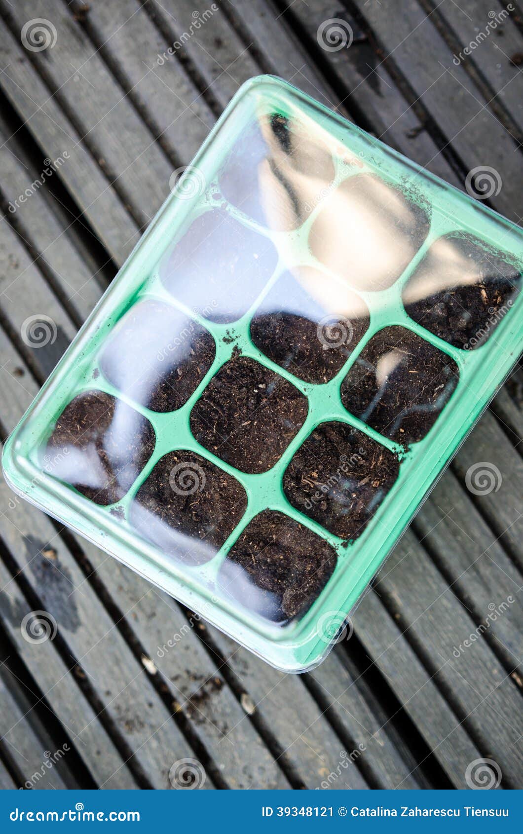 Cell bedding tray stock image. Image of soil, garden - 39348121