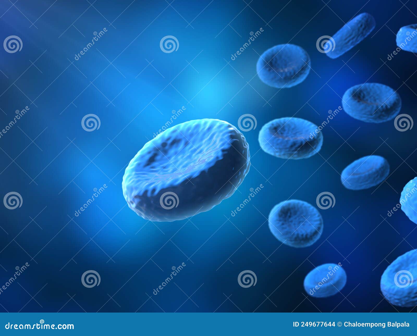 Cell Blue, Human Cell, Animal Cell. Stock Illustration - Illustration ...