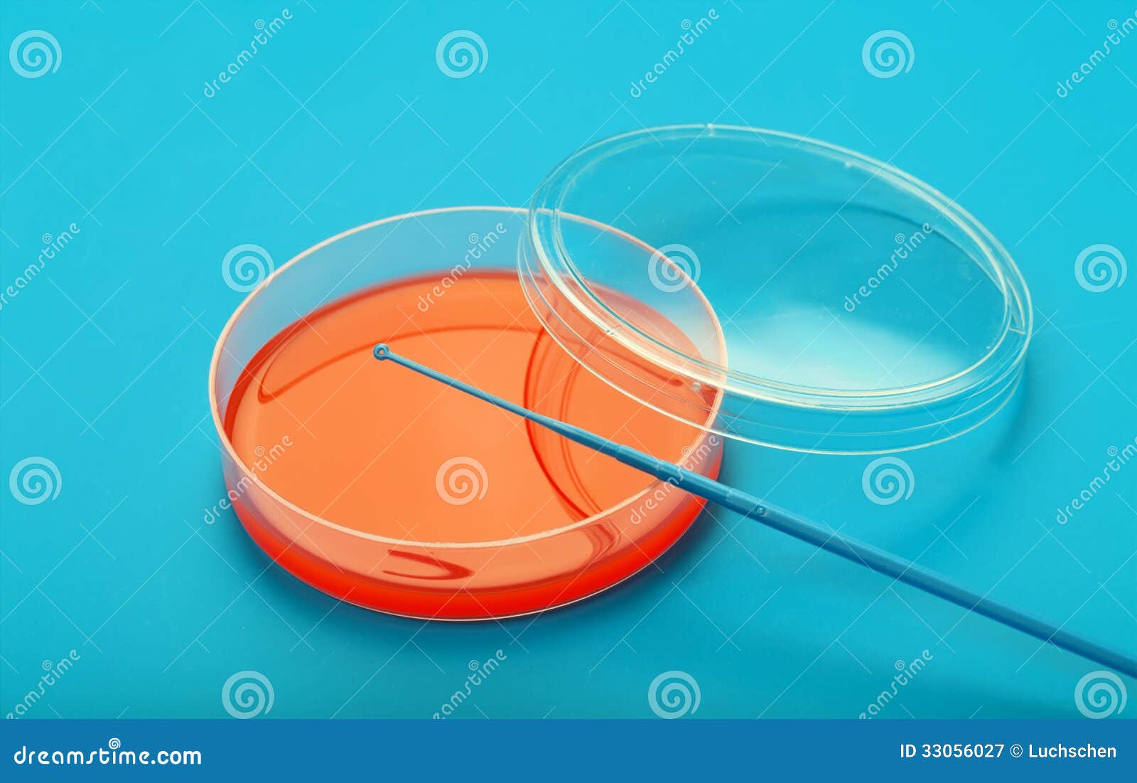 Blood Collector Stock Photos - Free & Royalty-Free Stock Photos from ...