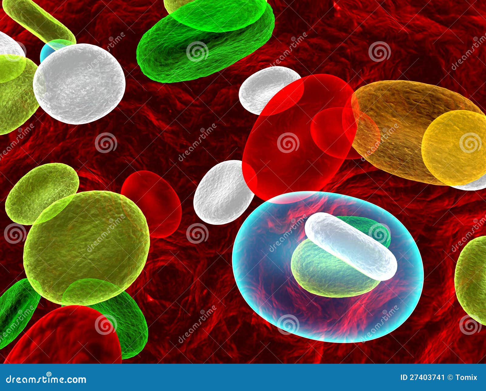 Cell colors stock illustration. Illustration of cancer - 27403741