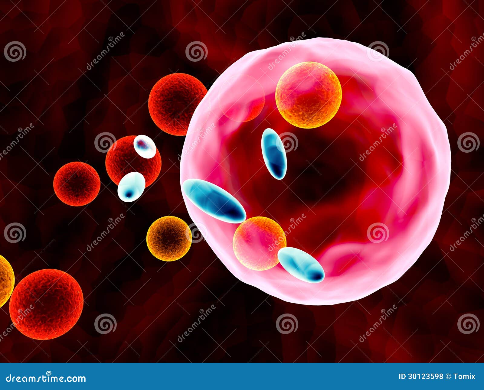Cell colors stock illustration. Illustration of sick - 30123598