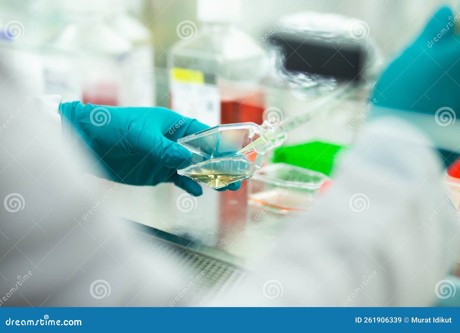 Cell culture stock image. Image of light, scientific - 261906339