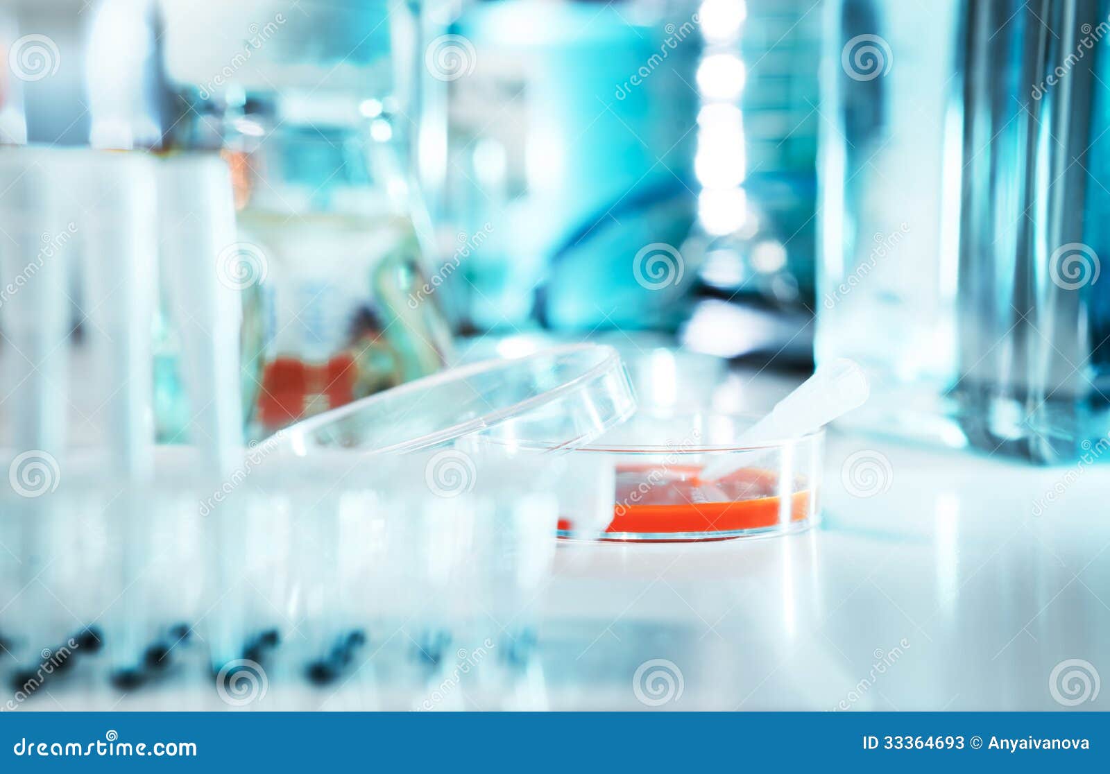 Cell culture sample stock image. Image of flask, modification - 33364693