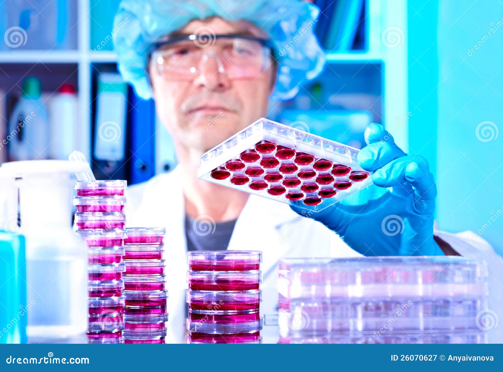 Cell culture work stock image. Image of control, biotech - 26070627