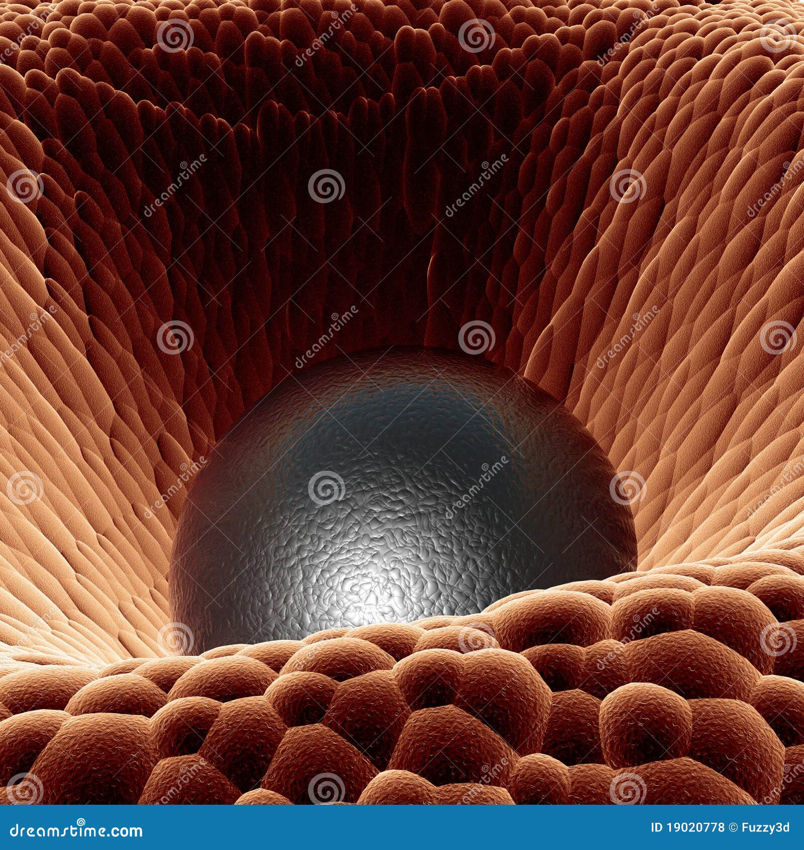 Derma Cartoons, Illustrations & Vector Stock Images - 2623 Pictures to ...