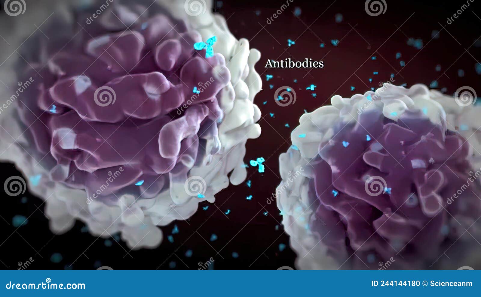 Cell that Destroys Bacteria Stock Illustration - Illustration of ...