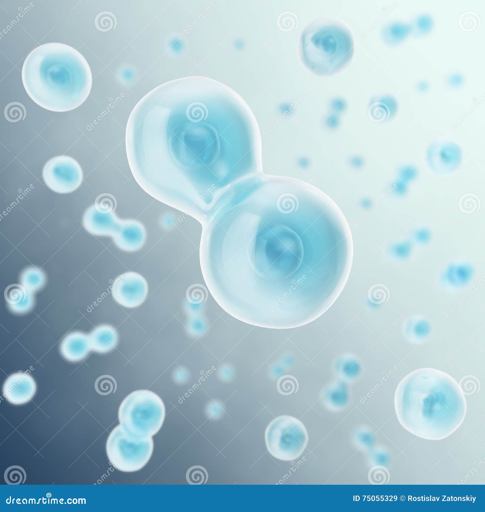 Cell Divides into Two Cells, Scientific Backgorund. 3d Illustration ...
