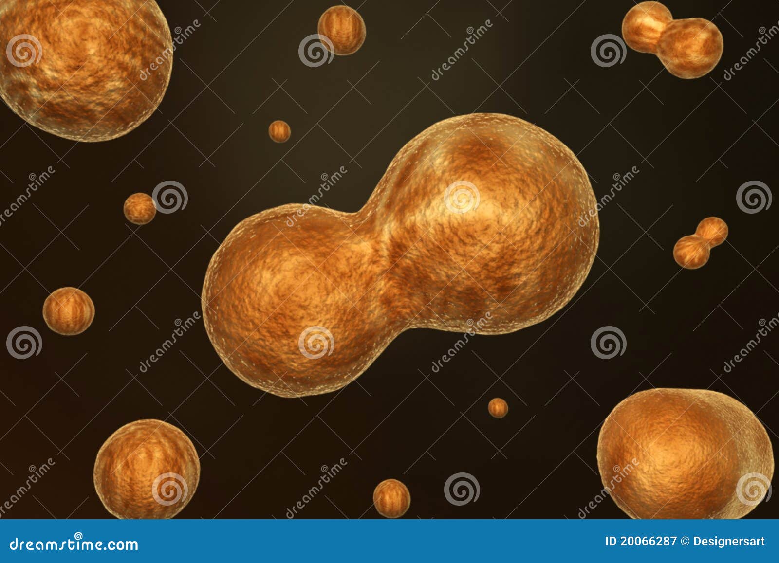 Protist Cell Anatomy With Euglena Microorganism Structure Outline ...