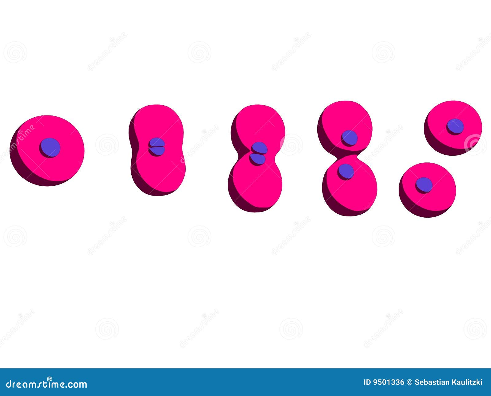 Cell division stock vector. Illustration of microbes, diseases - 9501336