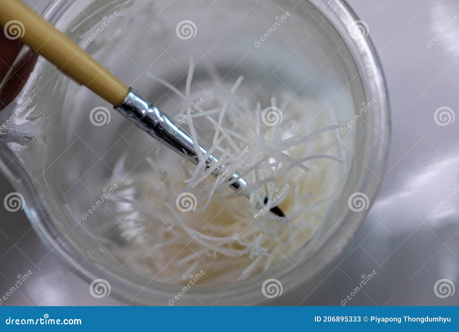 Cell Division and Cell Cycle Under the Microscope. Stock Image - Image ...