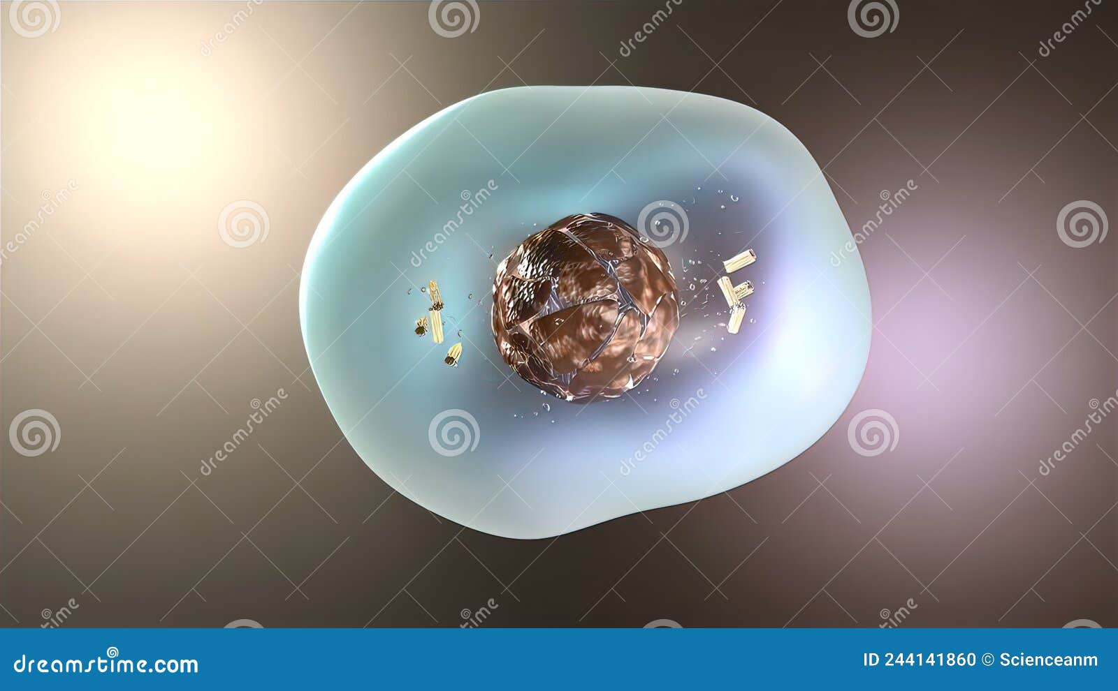 Cell Division or Cloning Cells. Stem Cells Dividing Under the ...