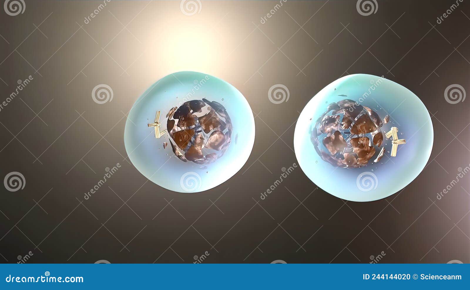 Cell Division or Cloning Cells. Stem Cells Dividing Under the ...