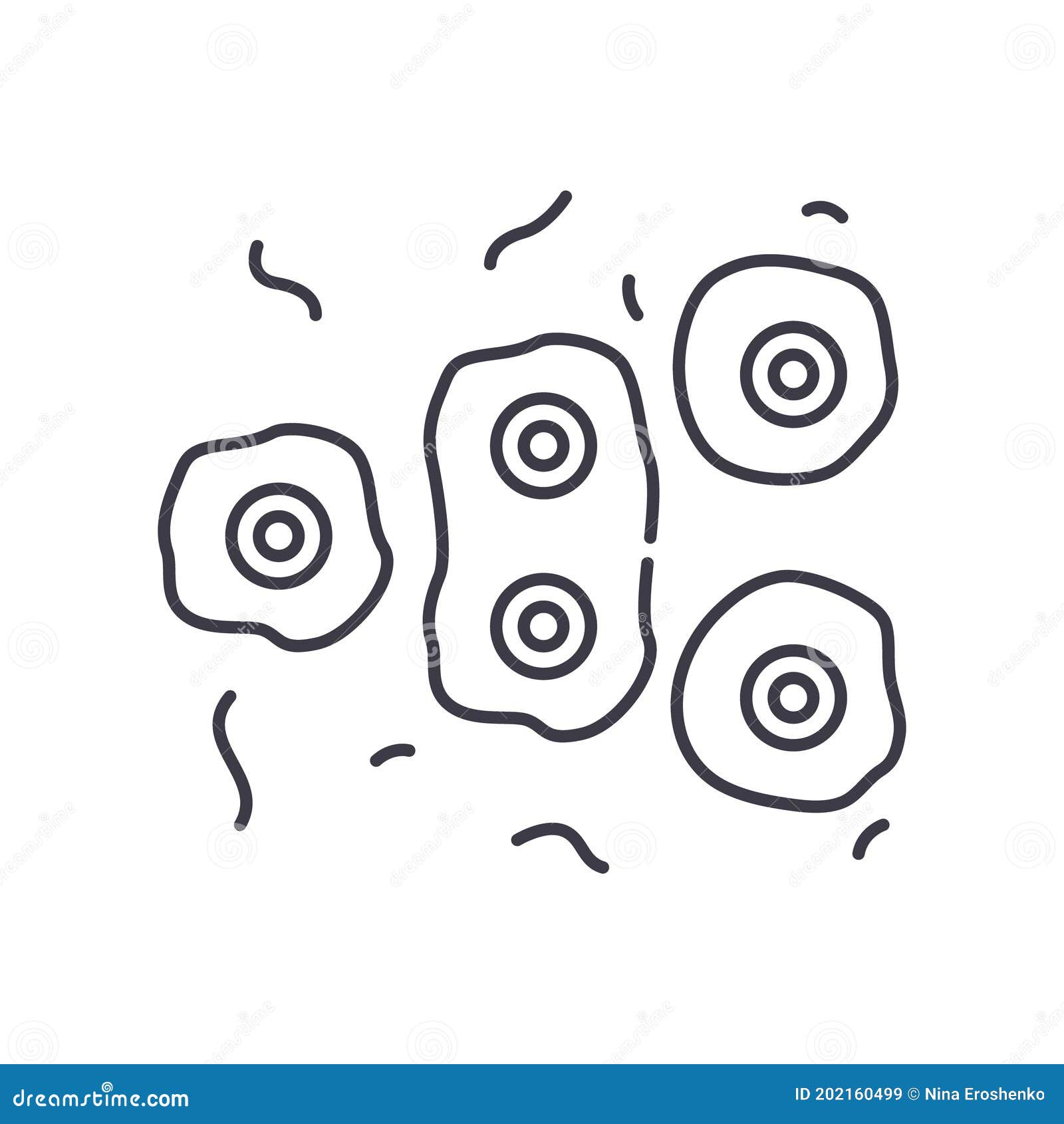 Cell Division Concept Icon, Linear Isolated Illustration, Thin Line ...