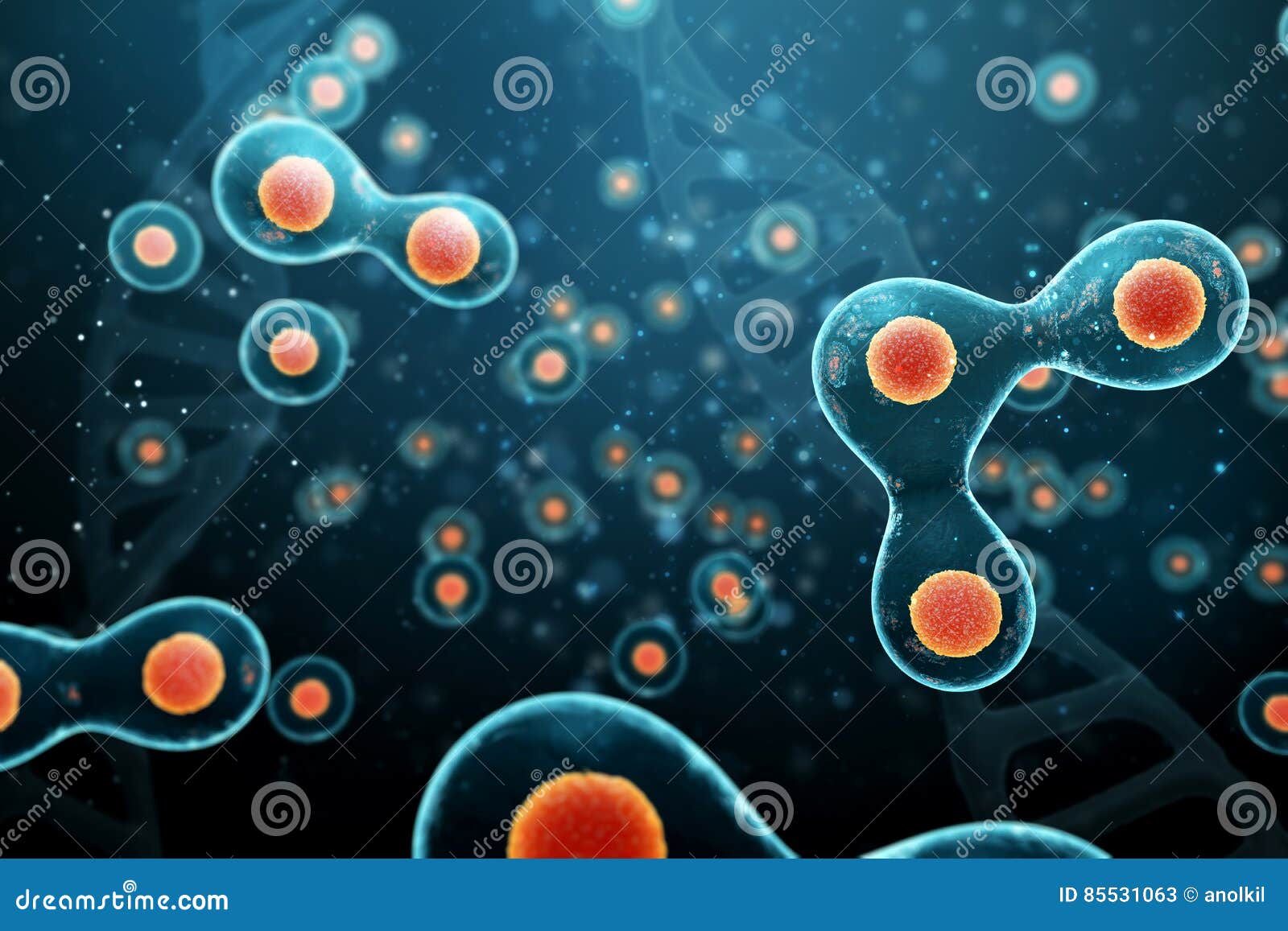 Cell Division on a Dark Blue Background. Stock Illustration ...