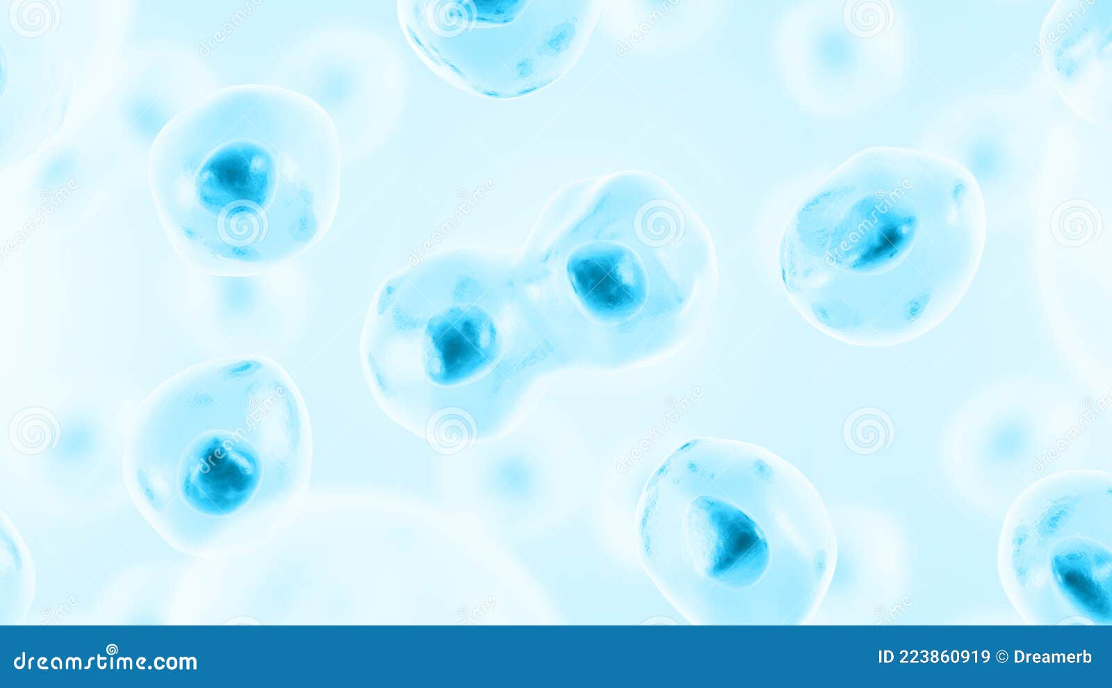 Cell Division. Cell Divides into Two Cells Stock Illustration ...