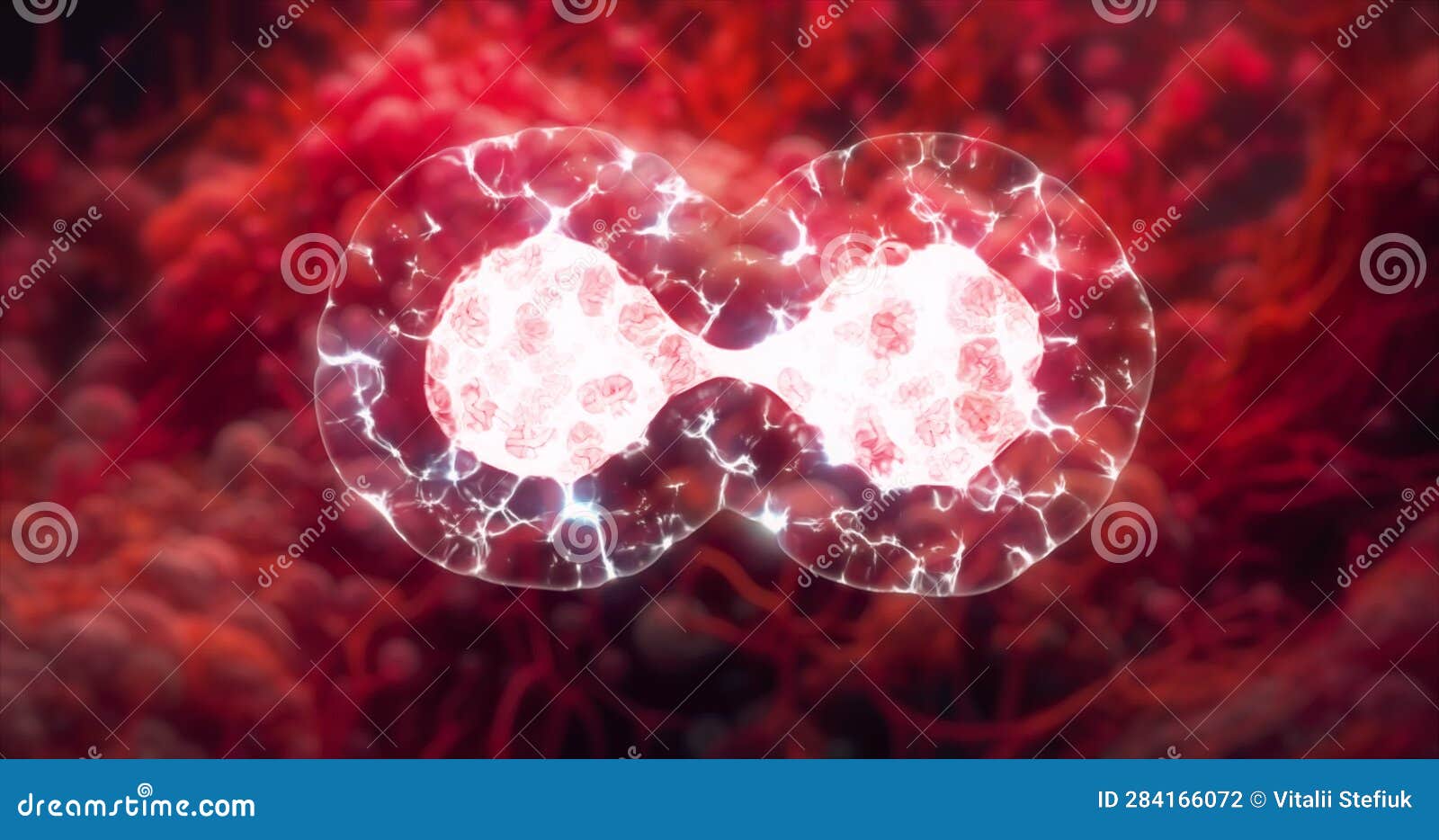 Cloning of bacteria stock footage. Video of magnification - 284166072