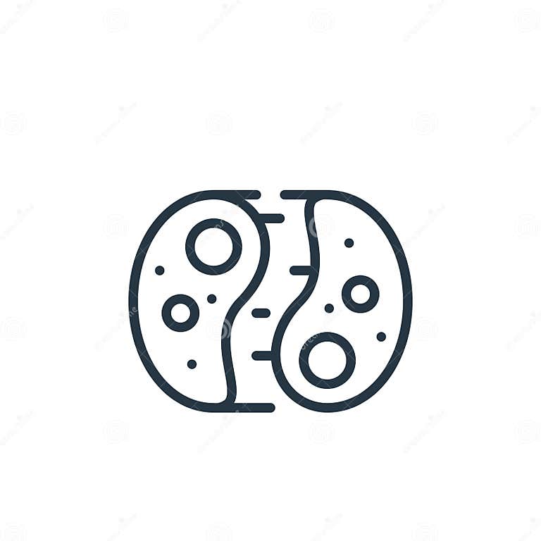 Cell Division Icon Vector from Microorganism Concept. Thin Line ...