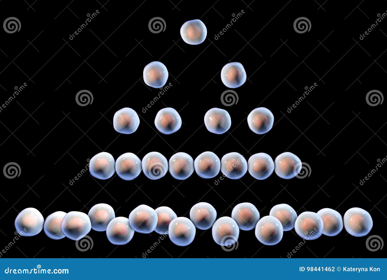 Cell Division, Illustration Stock Illustration - Illustration of ...