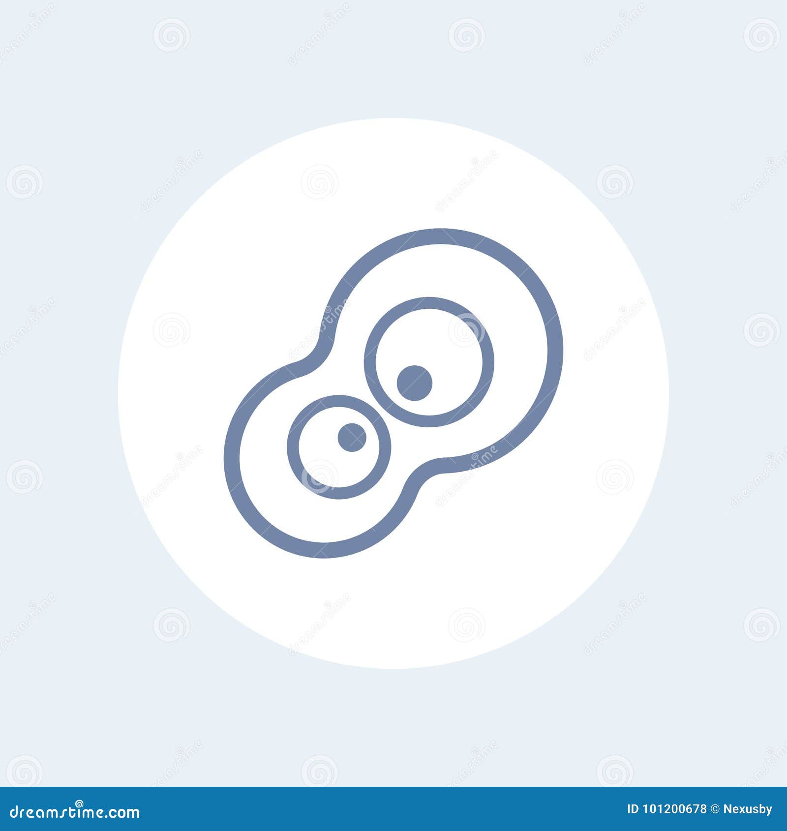 Cell Division, Mitosis Vector Icon Stock Vector - Illustration of ...