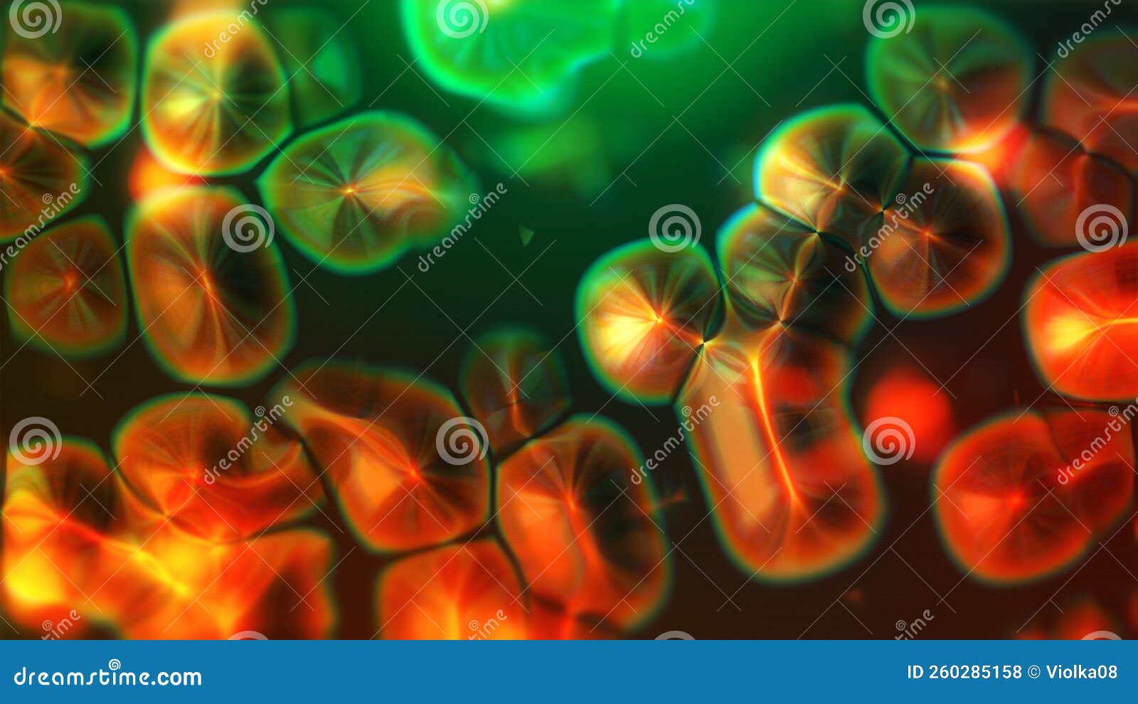 Cell Division Passing Genetics Information To the Chromosome Mitosis ...